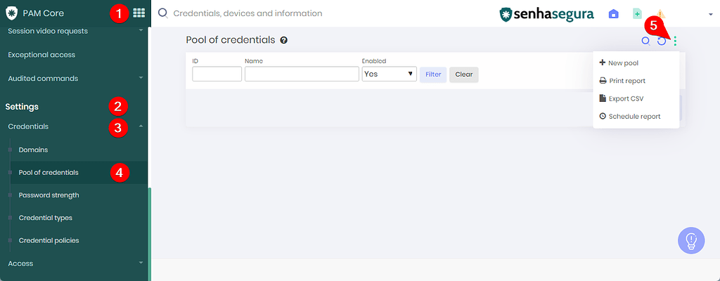 How to access pool of credentials report - PAM Core - Segura Community