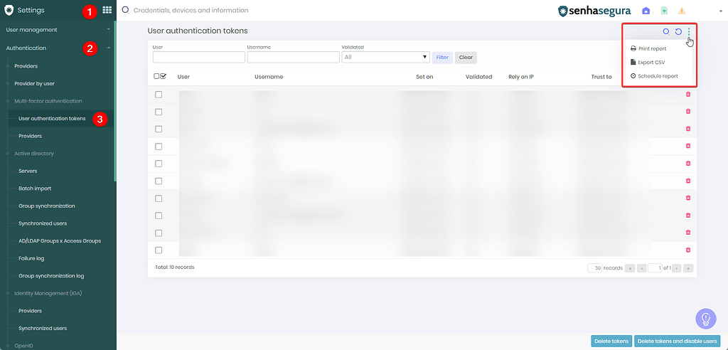 How to access the user authentication tokens report - PAM Core - Segura ...