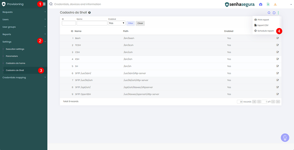 How to access cadastro de shell schedule reports in Provisioning - PAM ...