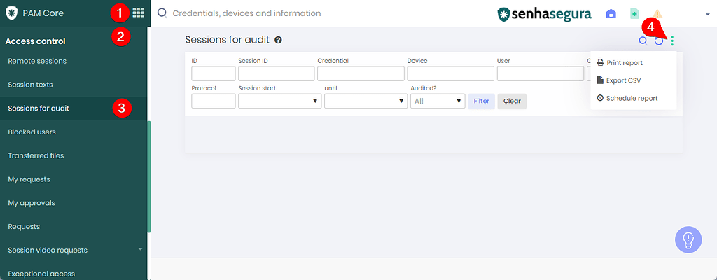 How to access sessions for audit report - PAM Core - Segura Community
