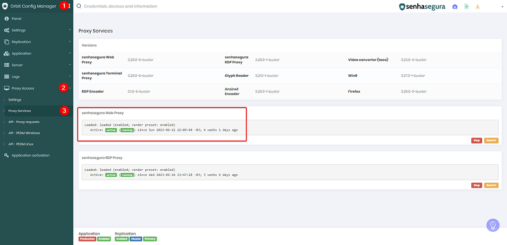 How to check the status of senhasegura Web Proxy - PAM Core - Segura Community
